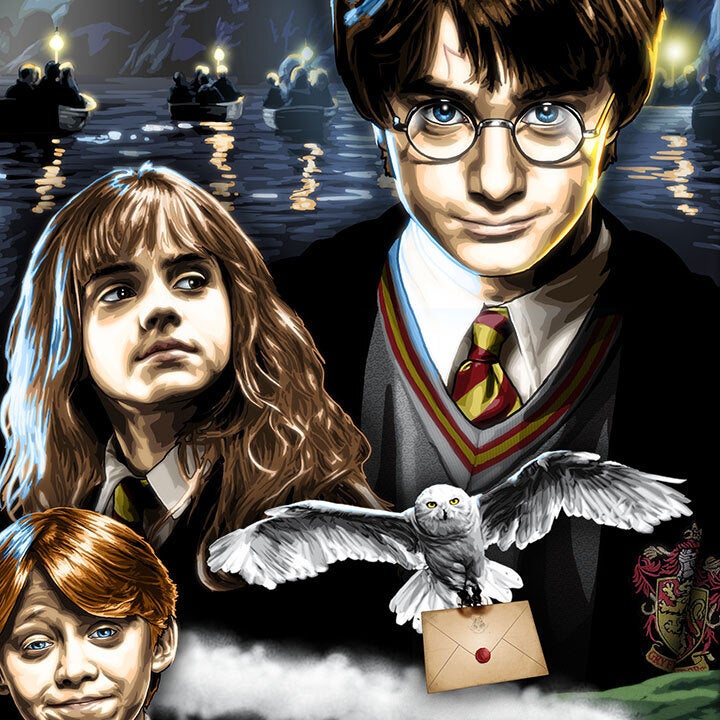 Harry Potter Ron Weasley And Hermione Granger Year 1